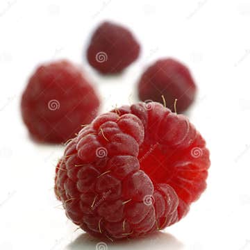 Raspberry stock photo. Image of health, dessert, macro - 876770