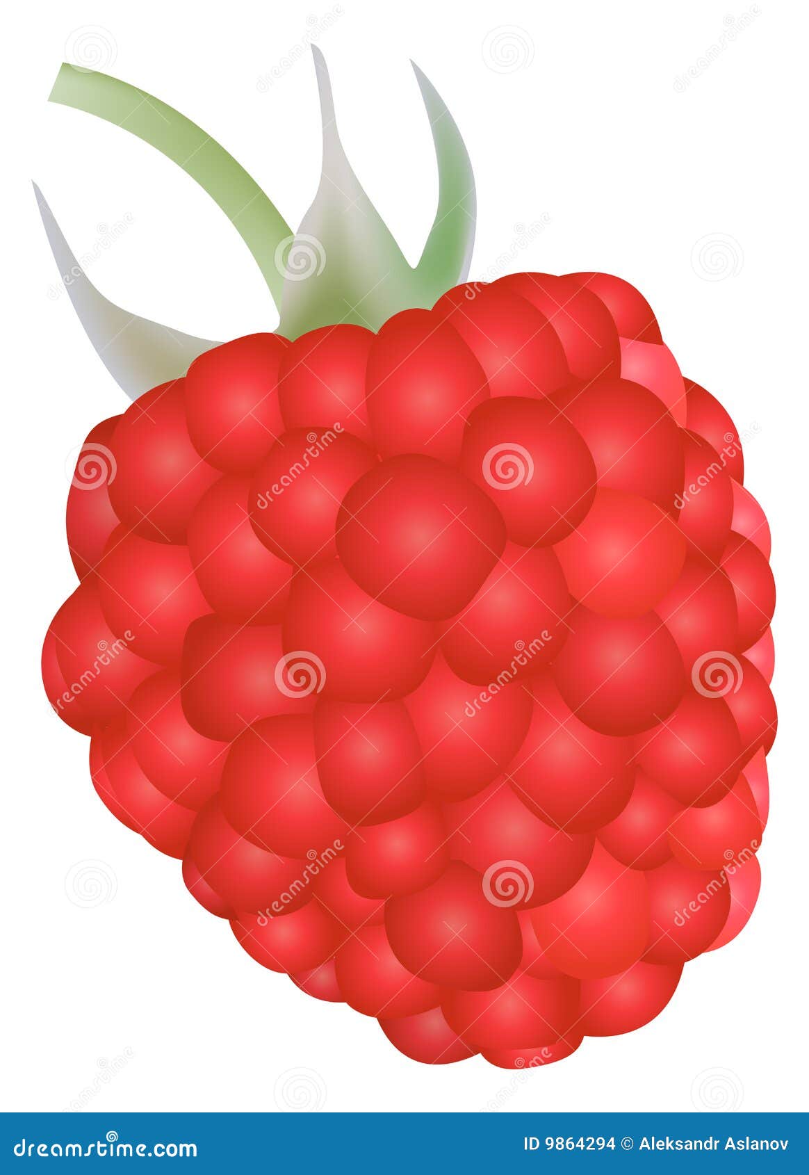 Raspberry stock illustration. Illustration of fruity, berry - 9864294