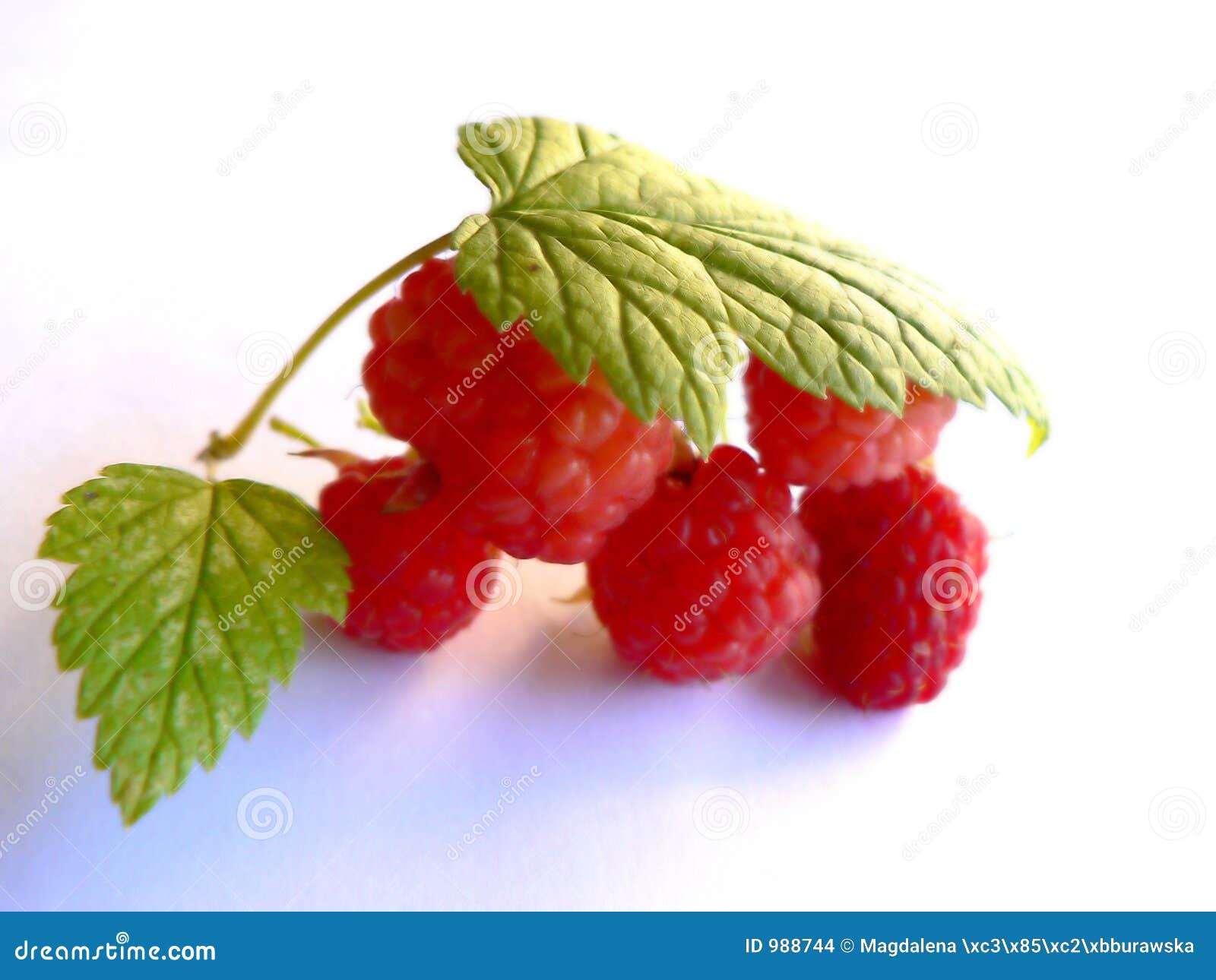 Raspberry stock photo. Image of raspberry, drupe, juicy - 988744