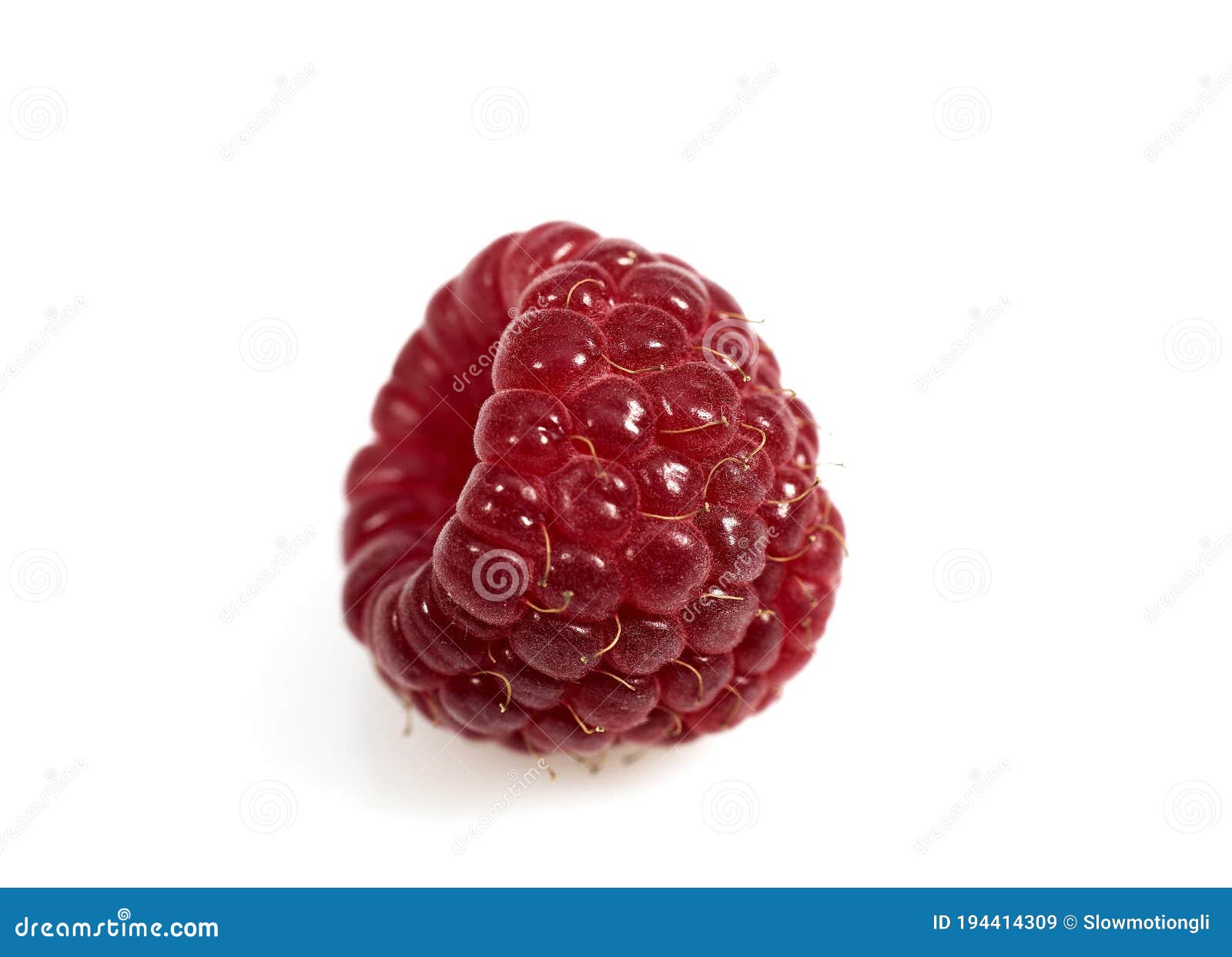 RASPBERRY AGAINST WHITE BACKGROUND Stock Image - Image of color ...