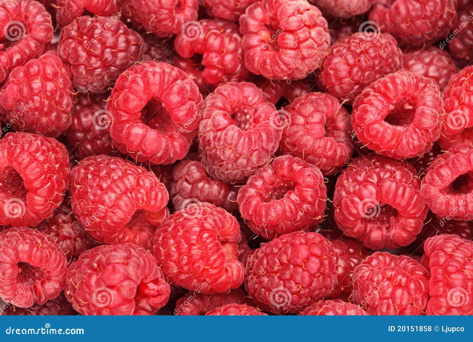 A raspberry background stock photo. Image of breakfast - 20151858