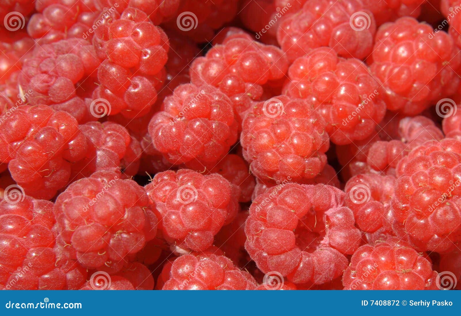 Raspberry background stock photo. Image of sweet, fresh - 7408872