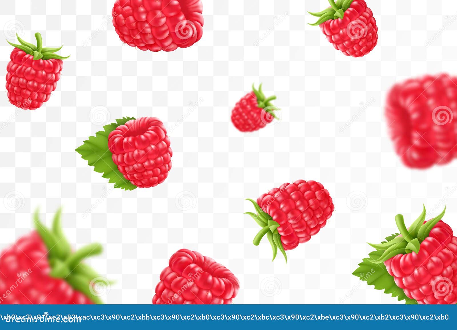 Raspberry Background. Flying Raspberry with Green Leaf on Transparent ...
