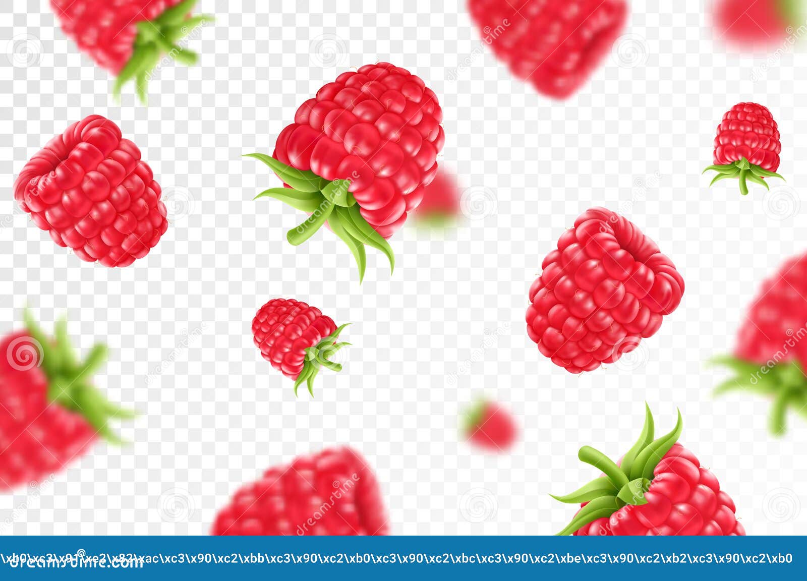 Raspberry Background. Flying Raspberry with Green Leaf on Transparent ...