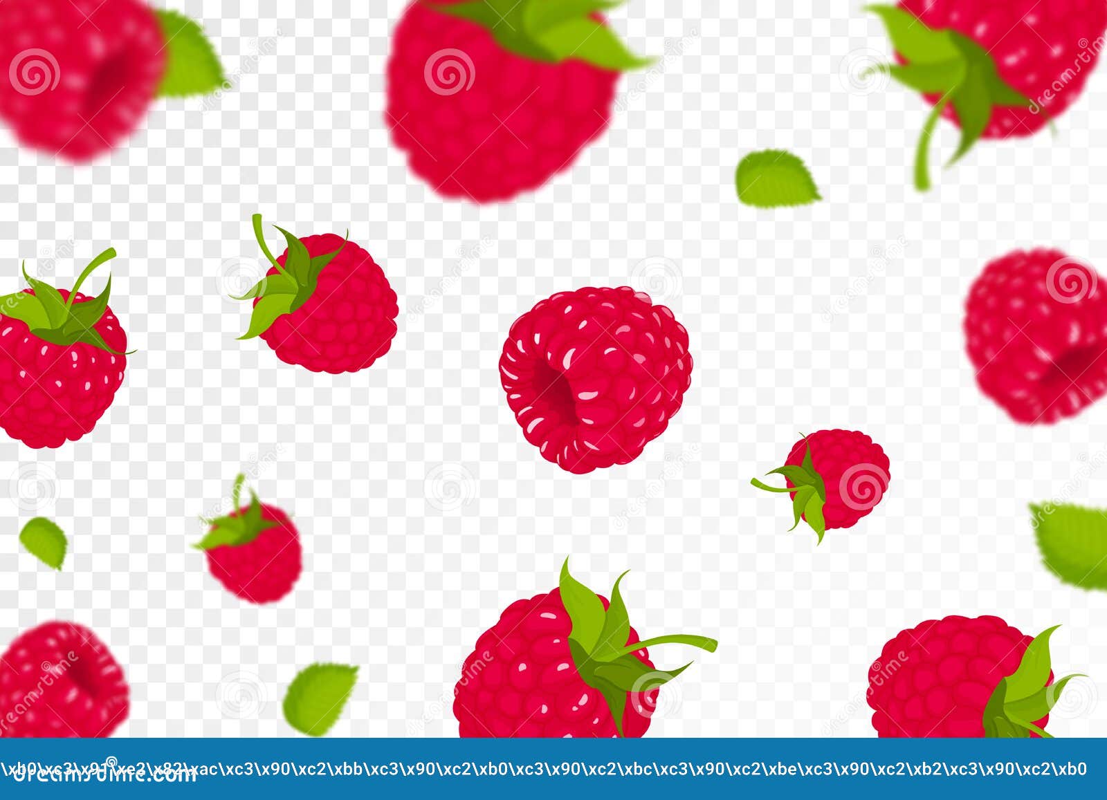 Raspberry Background. Flying Raspberry with Green Leaf on Transparent ...