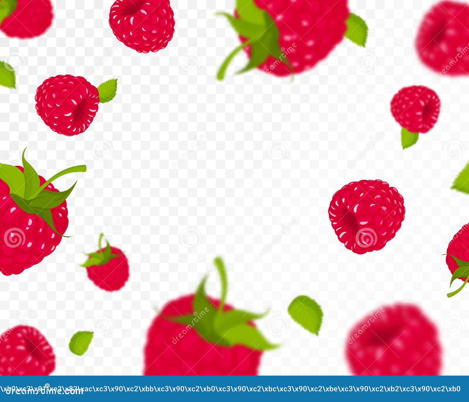 Raspberry Background. Flying Raspberry with Green Leaf on Transparent ...