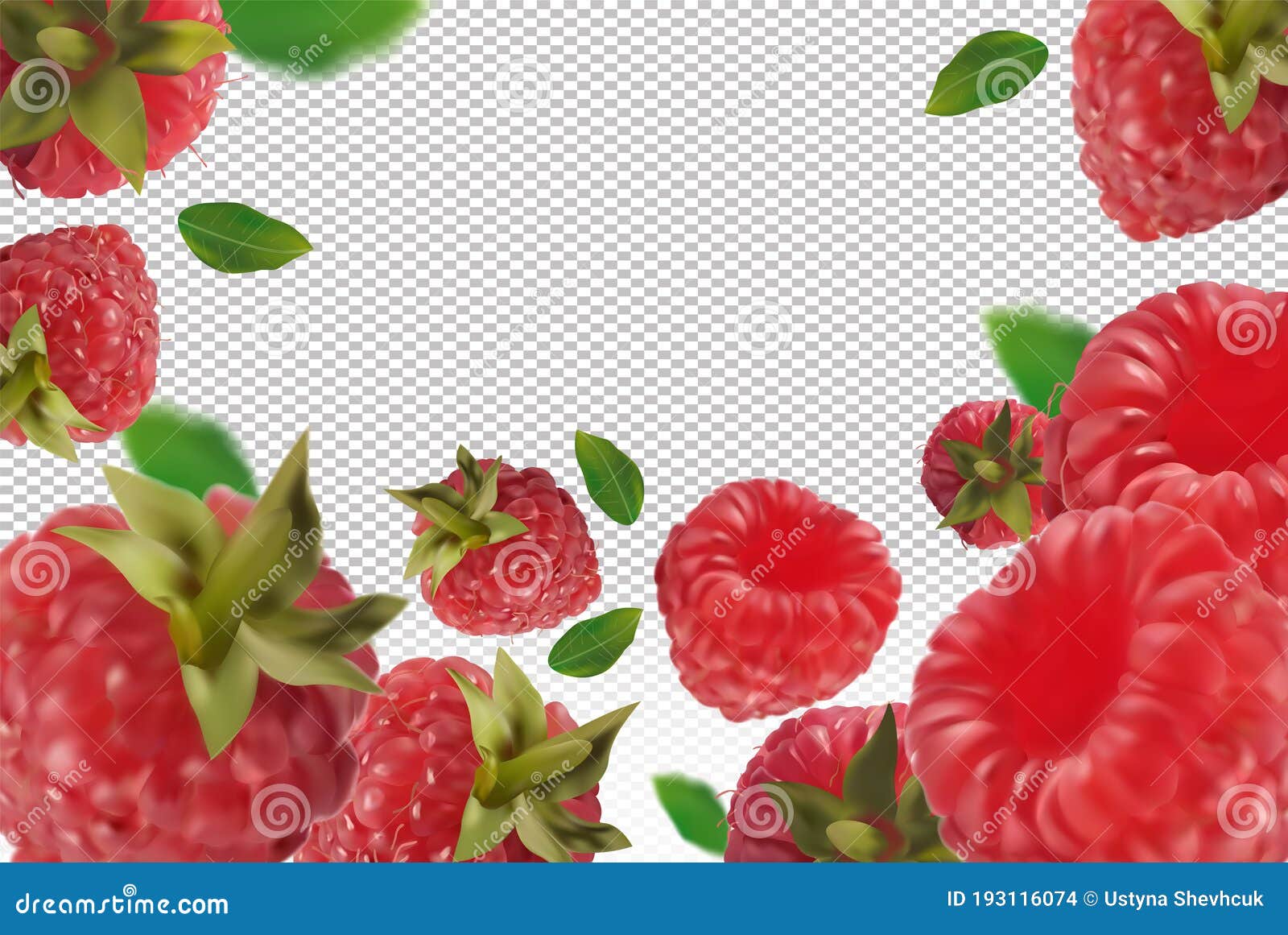 Raspberry Background. Flying Raspberry with Green Leaf on Transparent ...