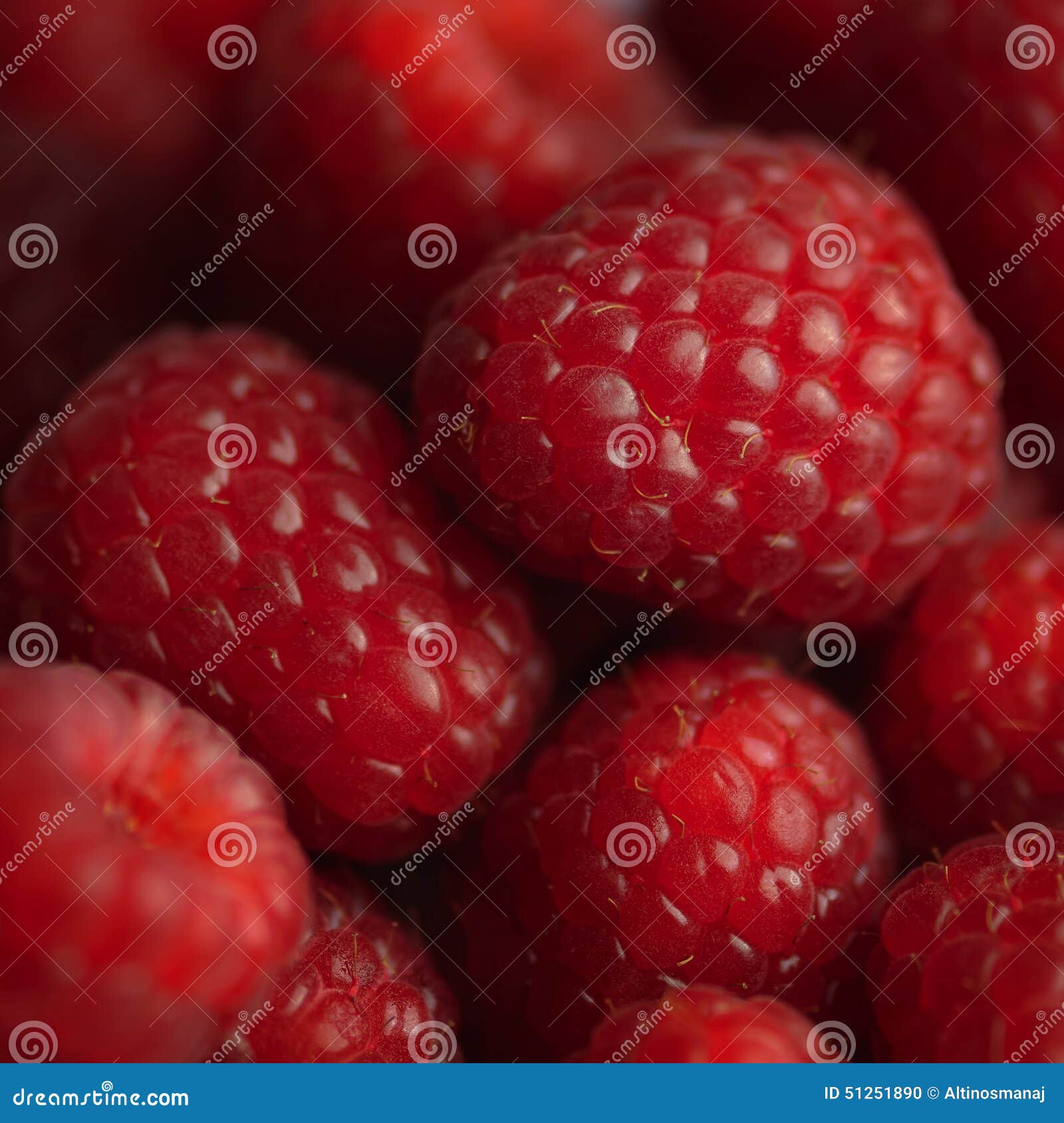Raspberry Background Square Composition Red Soft and Juicy Stock Photo ...