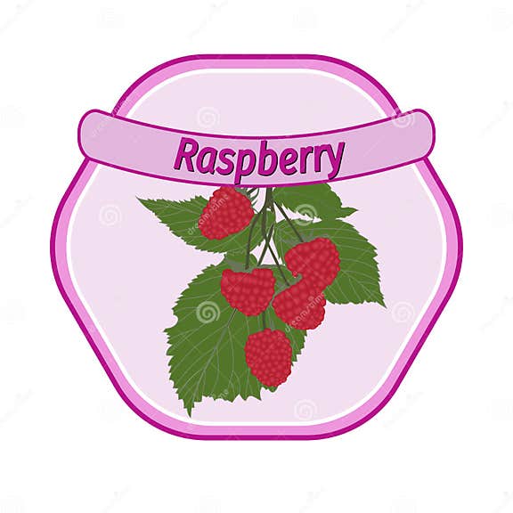 Vector raspberry label stock vector. Illustration of background - 122093599