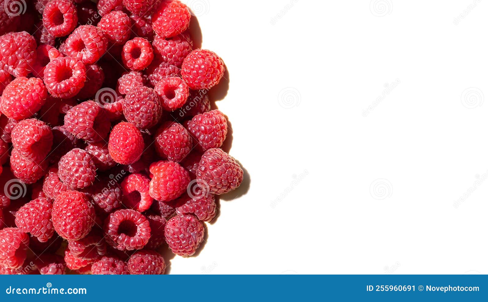 Raspberry Berries. Top View Raspberry Isolated on White Background ...