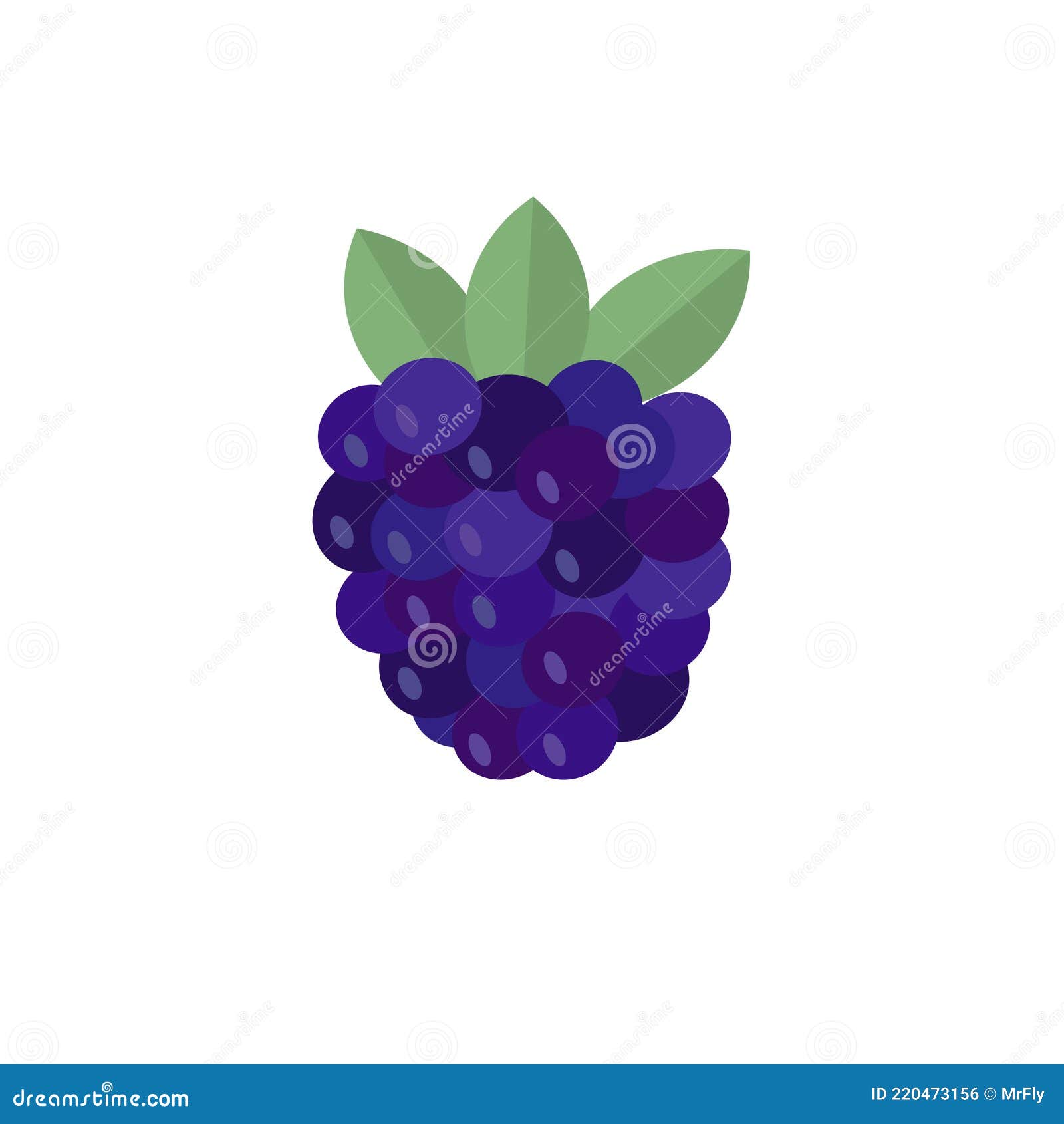 Raspberry Berry, Animated Vector Illustration Stock Vector ...