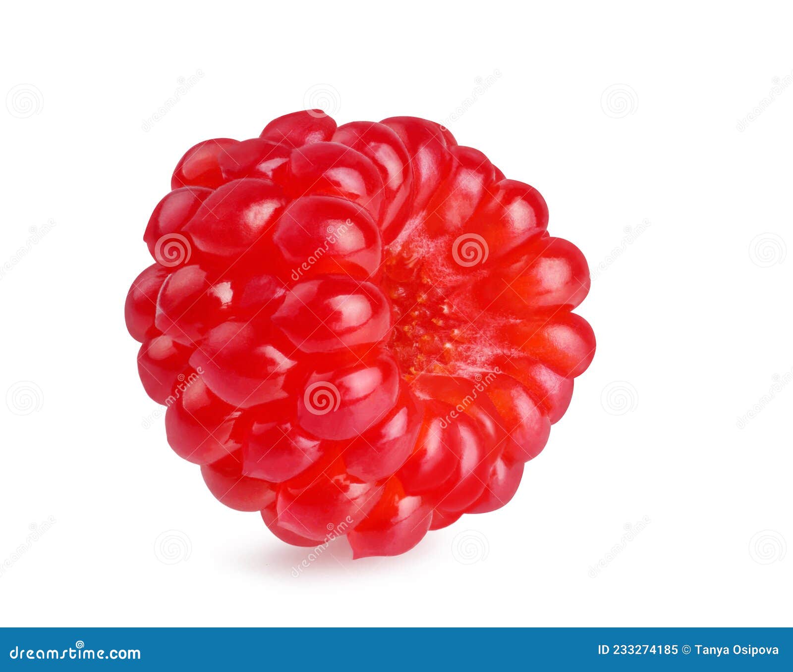Raspberry Berry Isolated on a White Background, Macro Stock Image ...