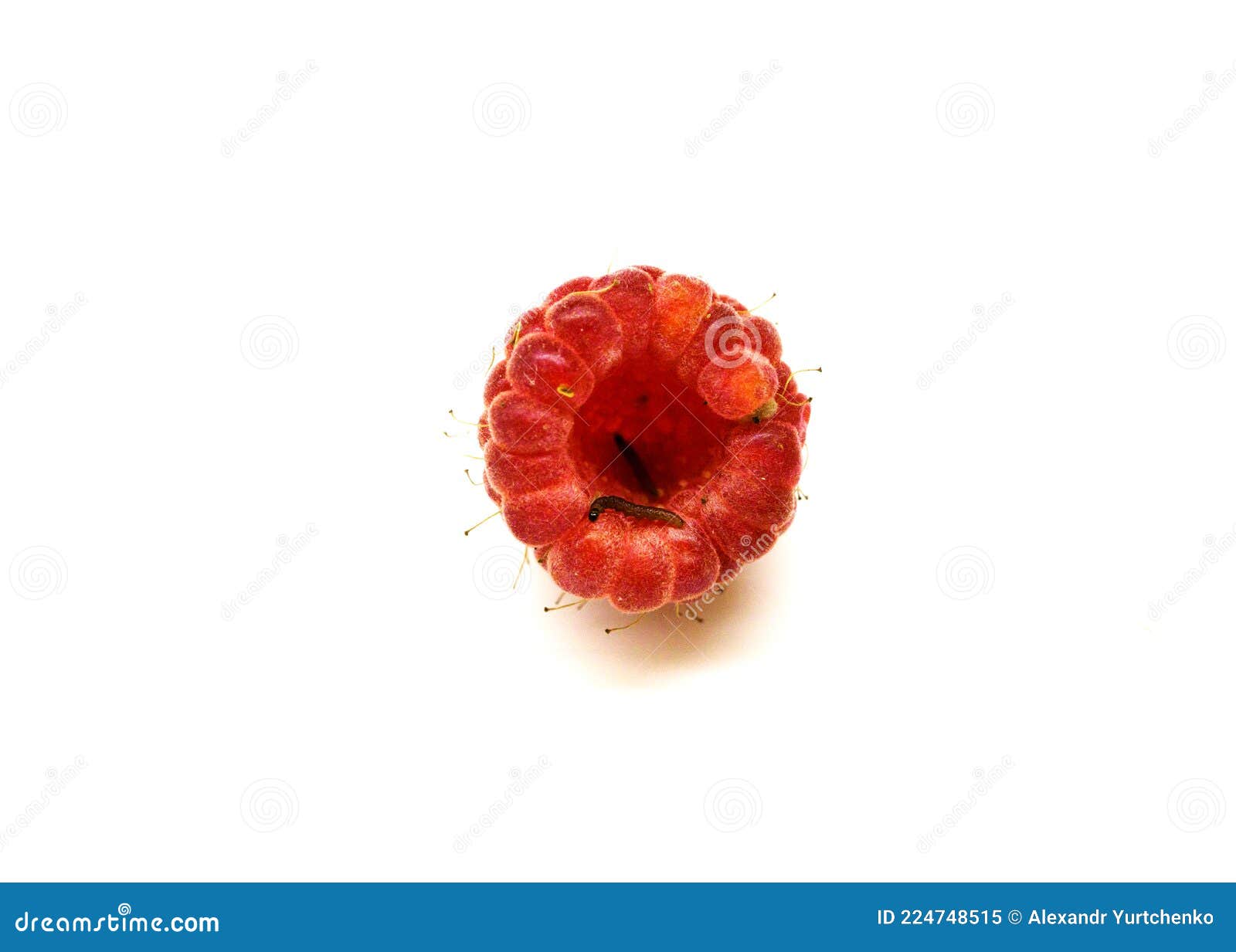 Raspberry Berry with a Worm Stock Image - Image of health, blast: 224748515