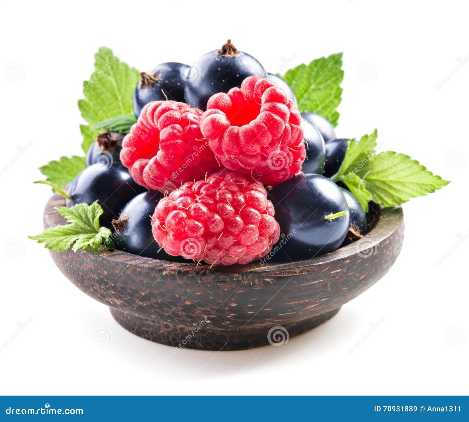 Raspberry and Black Currant Isolated on White Stock Image - Image of ...
