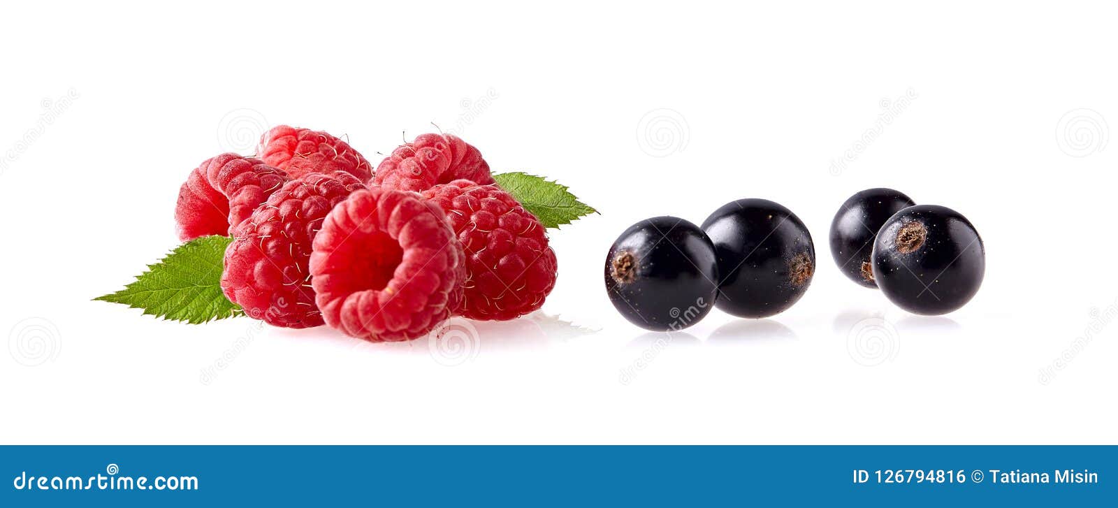 Raspberry and Black Currant Isolated on White Background Stock Photo ...