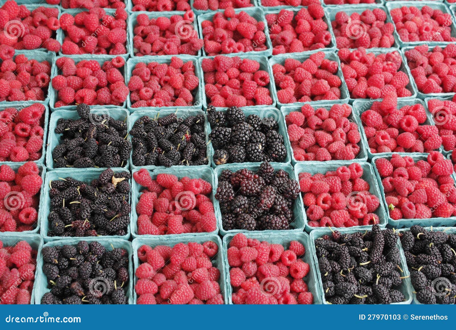 Raspberry and Blackberry Pints Stock Image - Image of blackberries ...