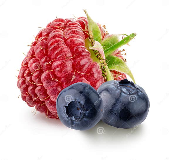 Raspberry and Blueberries Isolated on White Background Stock Photo ...