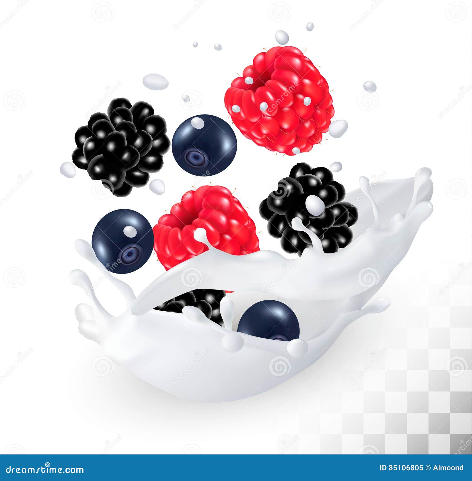 Raspberry and Blueberry and Blackberry in a Milk Splash Stock Vector ...