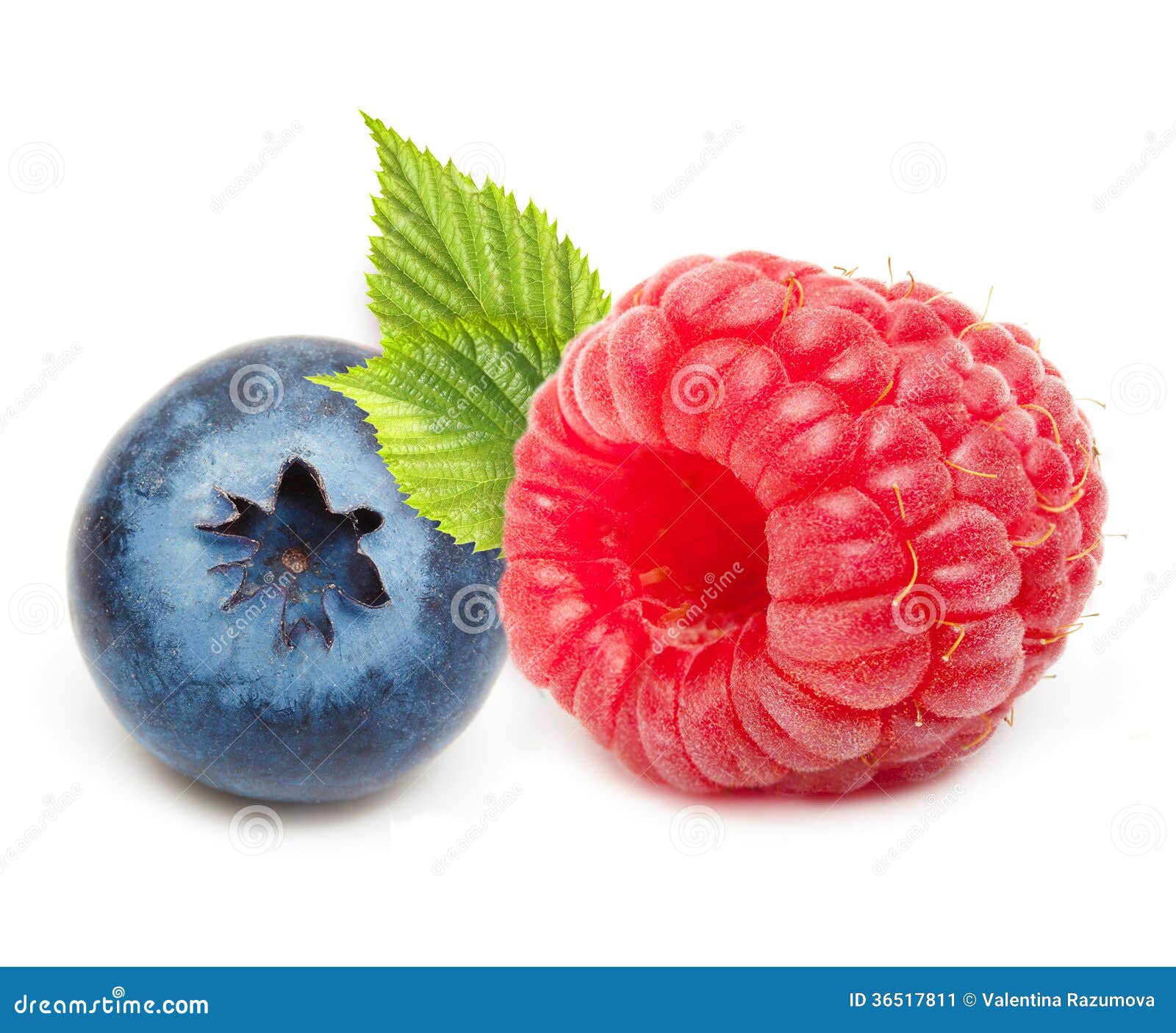 Raspberry and Blueberry Isolated Stock Image - Image of juicy, forest ...