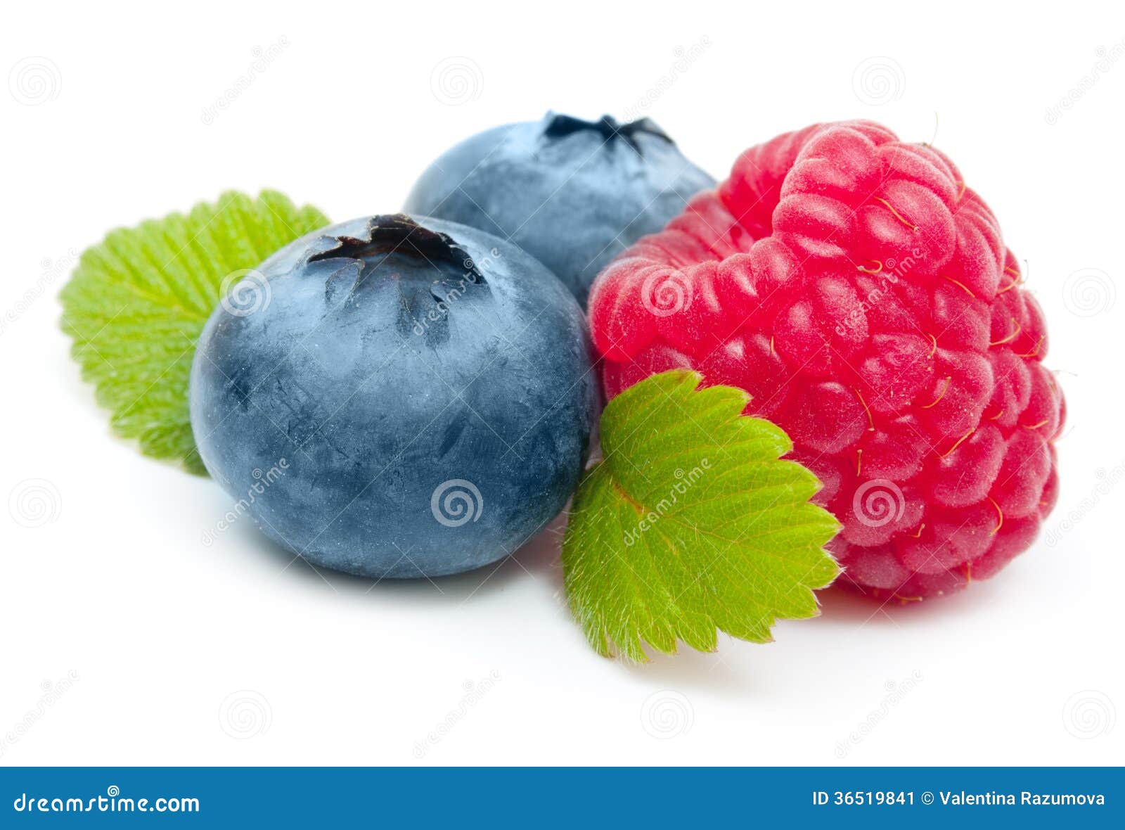 Raspberry and Blueberry Isolated Stock Image - Image of forest, sweet ...