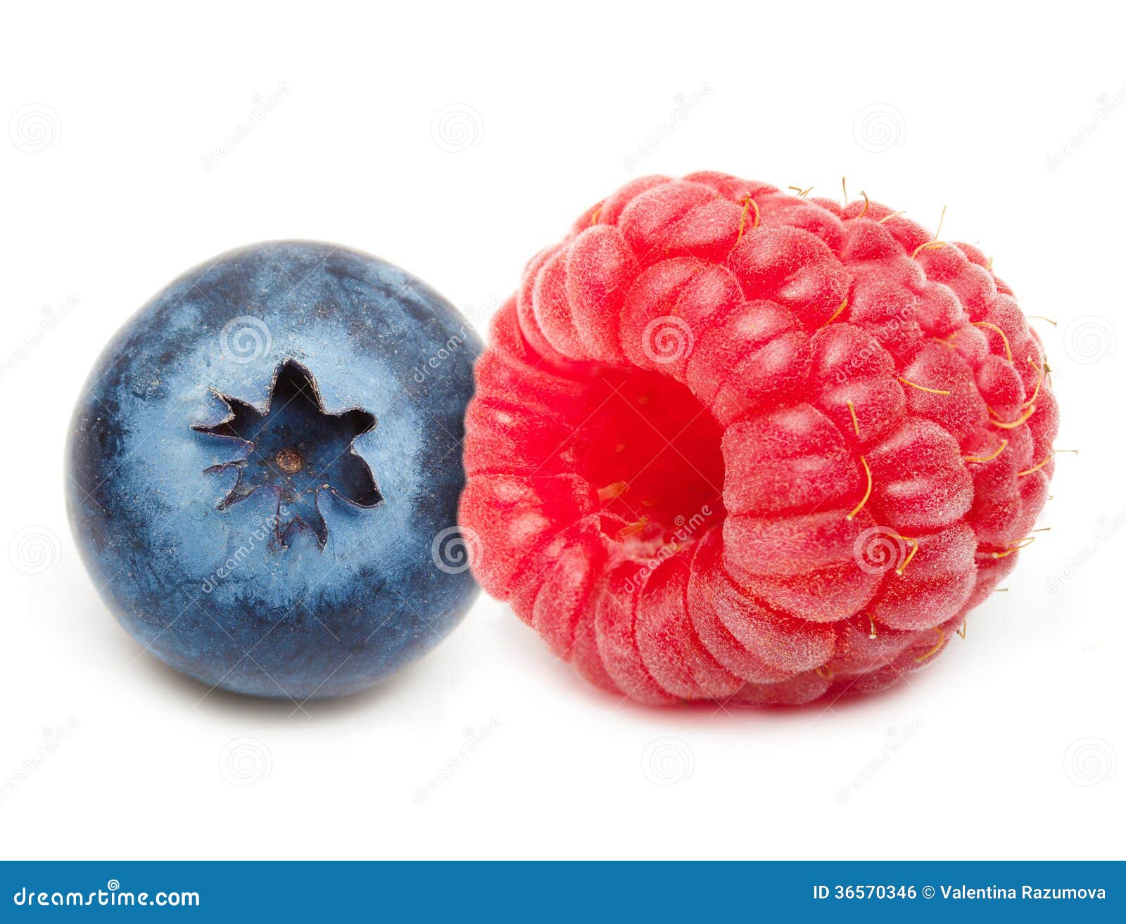 Raspberry and Blueberry Isolated Stock Photo - Image of desert ...
