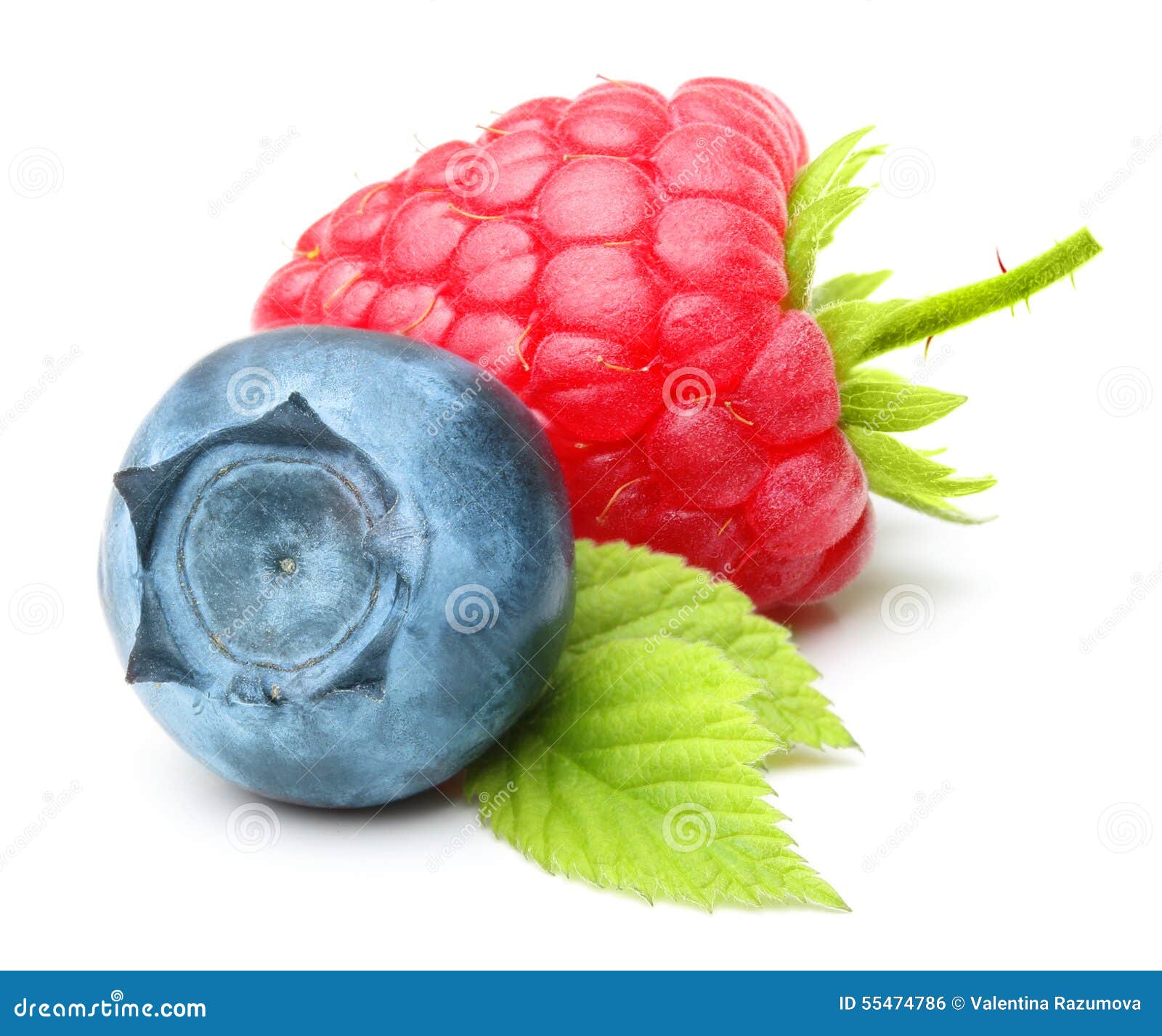 Raspberry and Blueberry Isolated Stock Photo - Image of background ...