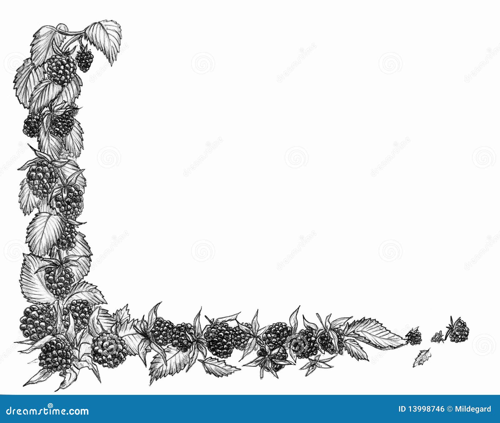 Raspberry Border Stock Photo | CartoonDealer.com #14587080