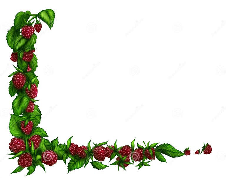 Raspberry border stock illustration. Illustration of white - 14587080