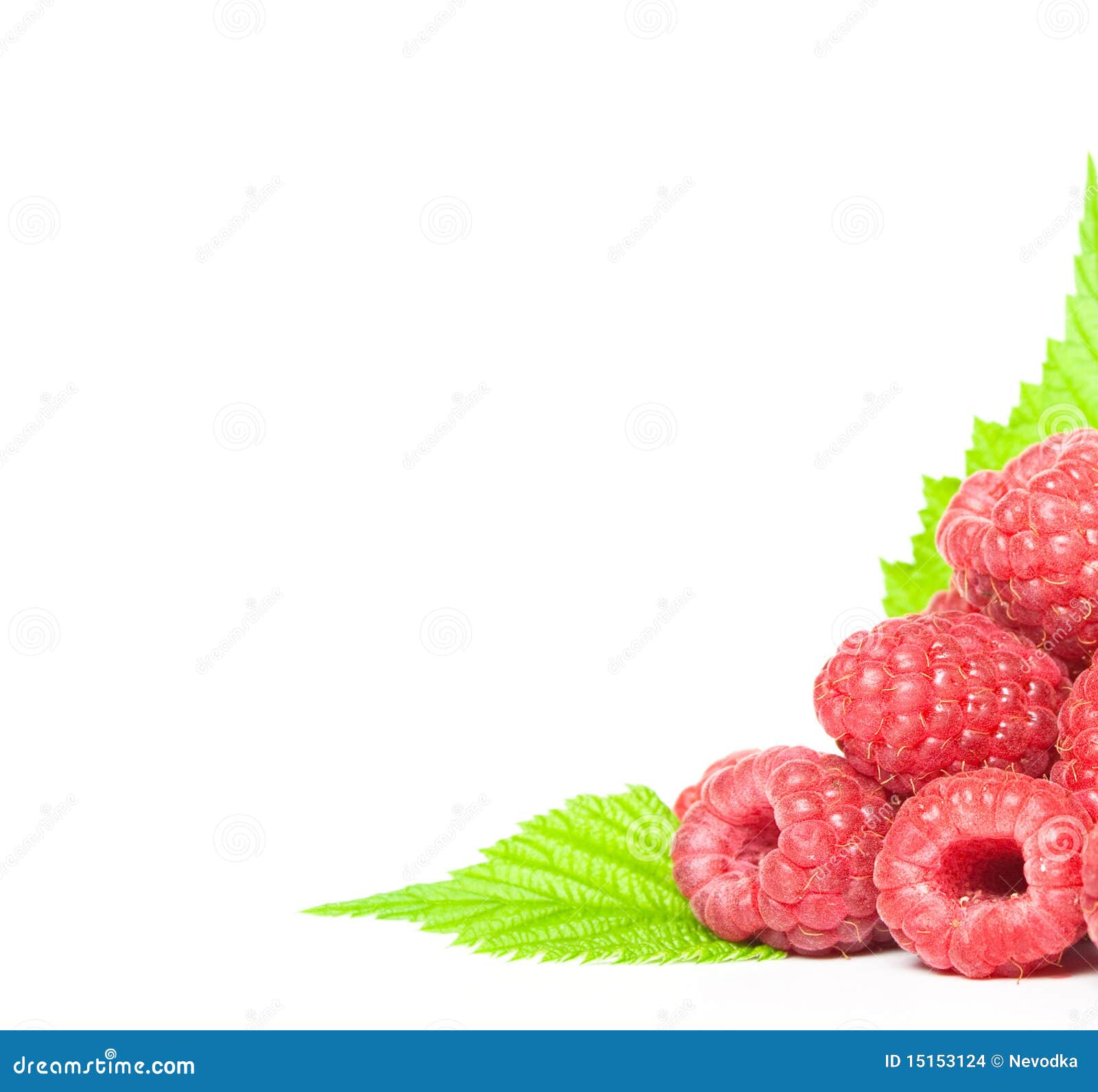 Raspberry border stock photo. Image of ingredient, fresh - 15153124