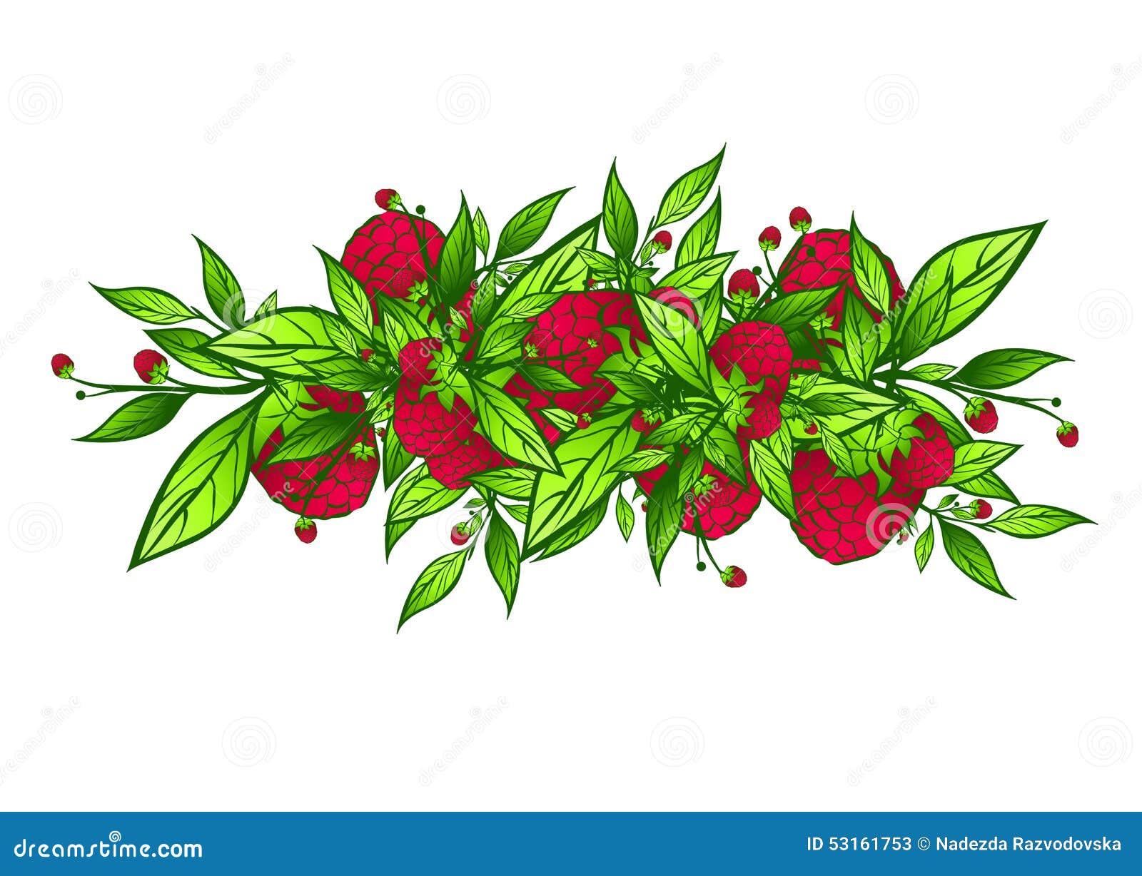 Raspberry Border Stock Photo | CartoonDealer.com #14587080