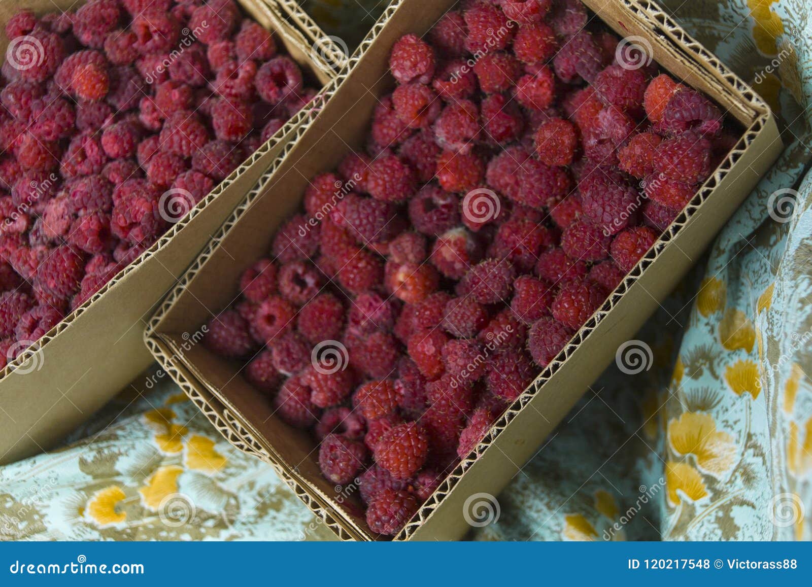 Raspberry in boxes stock photo. Image of healthy, eatable - 120217548