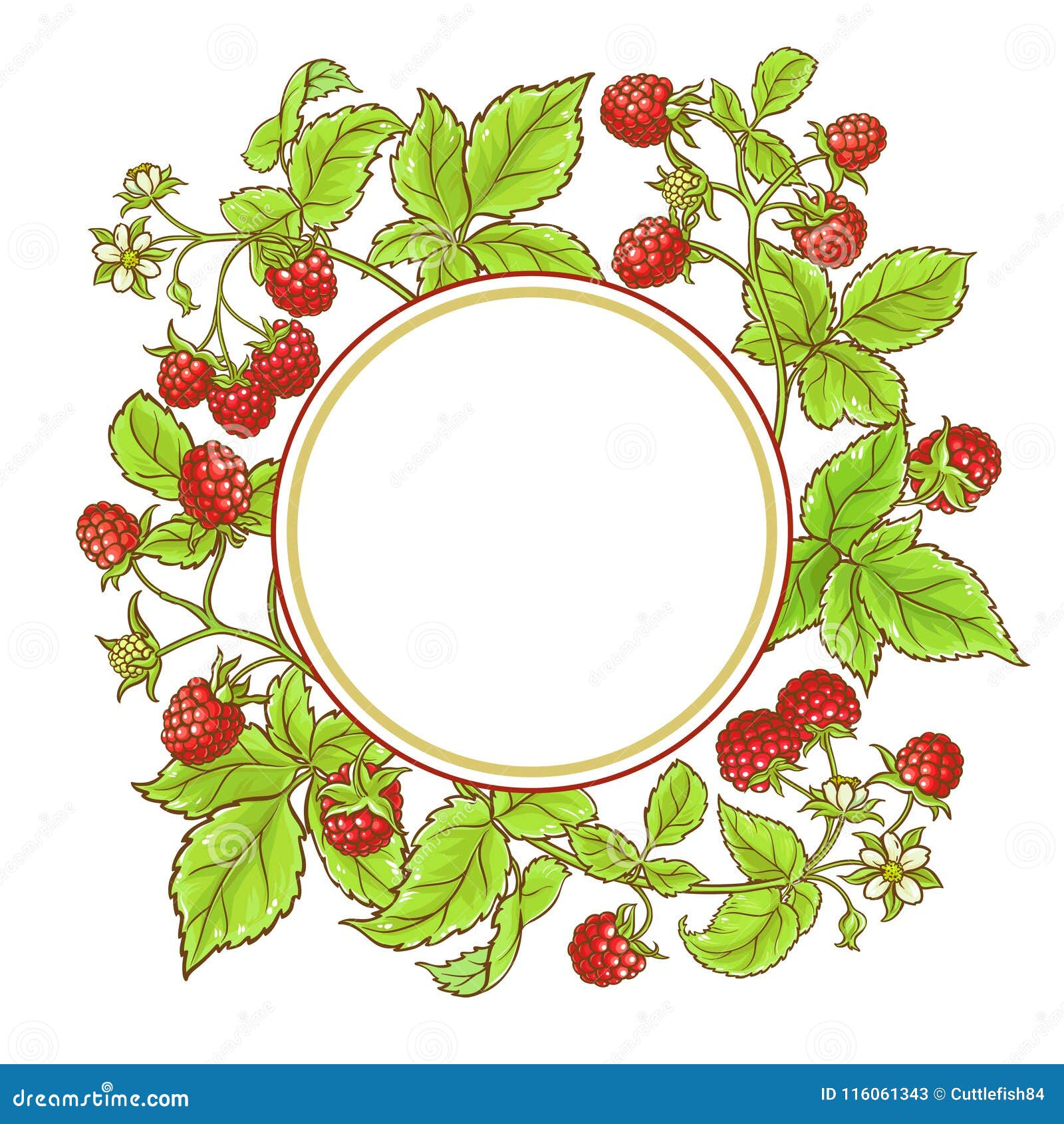 Raspberry Branch Vector Frame Stock Vector - Illustration of summer ...