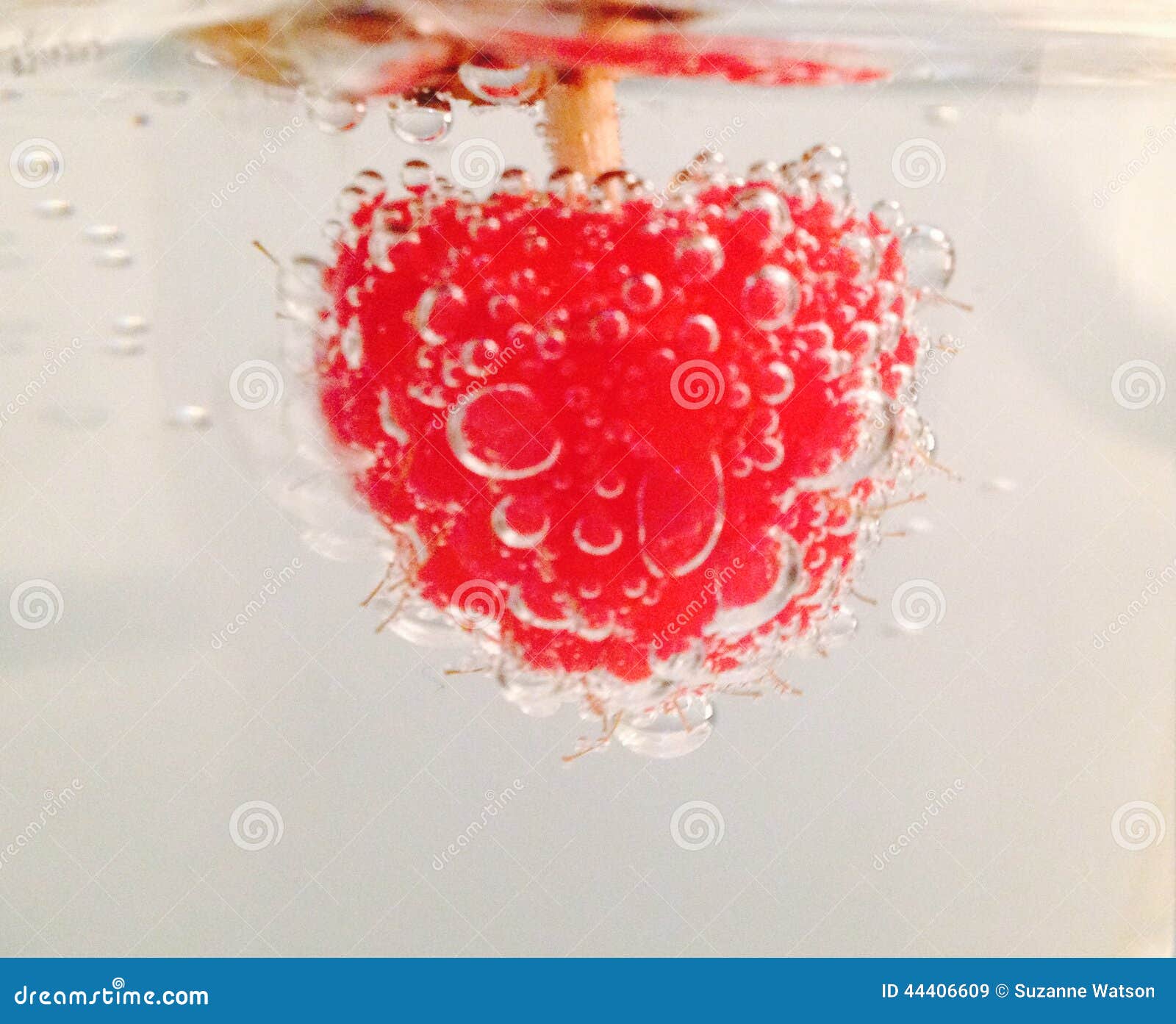Raspberry Bubbles stock image. Image of bubbles, water - 44406609