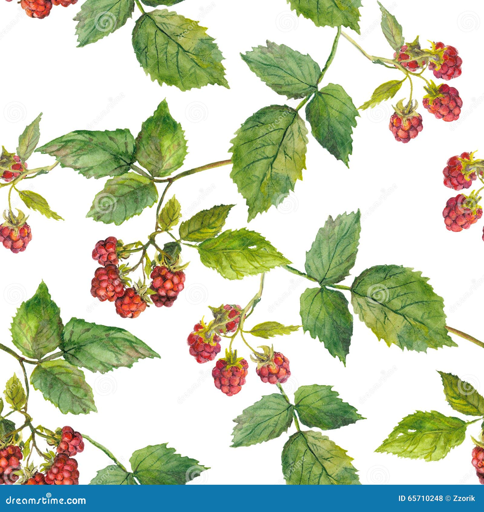 Raspberry Bush in White Seamless Template Stock Illustration ...