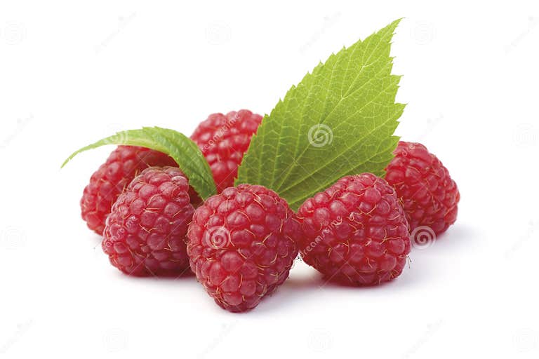 Raspberry Circle stock image. Image of food, organic - 16607731