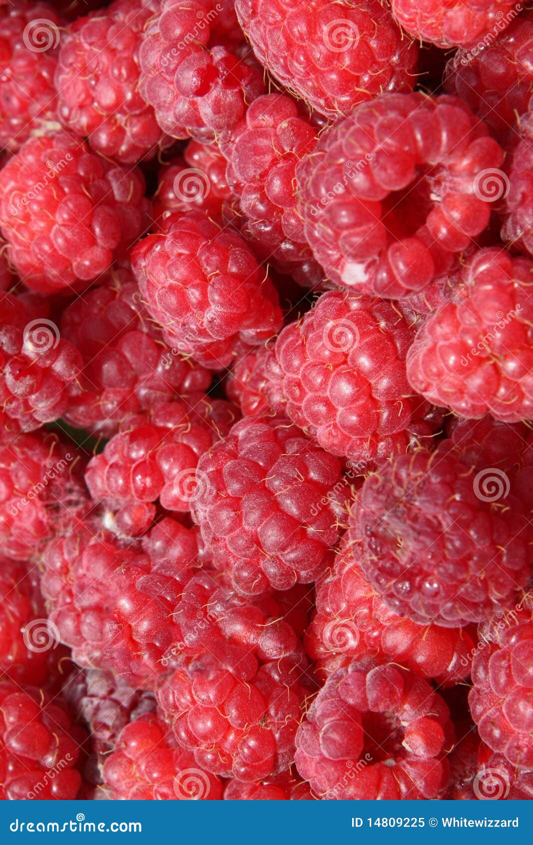 Raspberry Close Up Macro On A Wood Background. Nature Background. Fresh ...