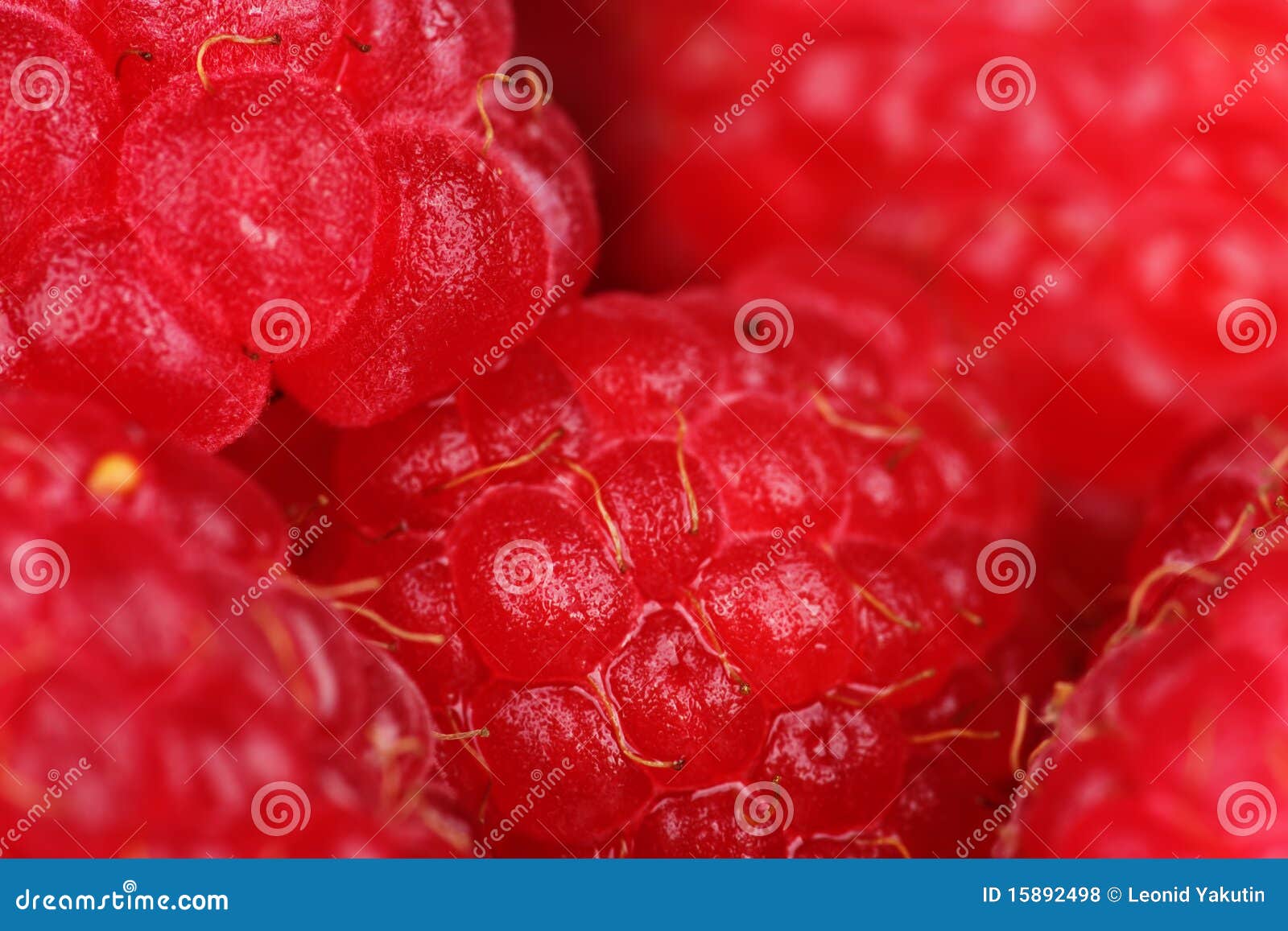 Raspberry close up stock photo. Image of sweet, background - 15892498