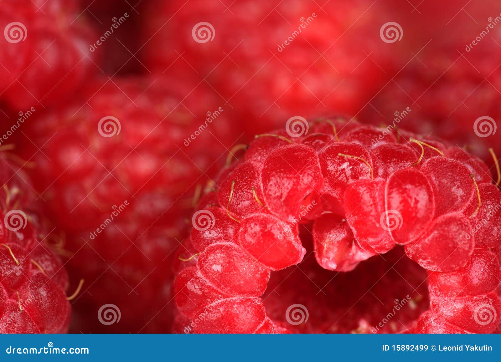 Raspberry close up stock image. Image of close, superfood - 15892499