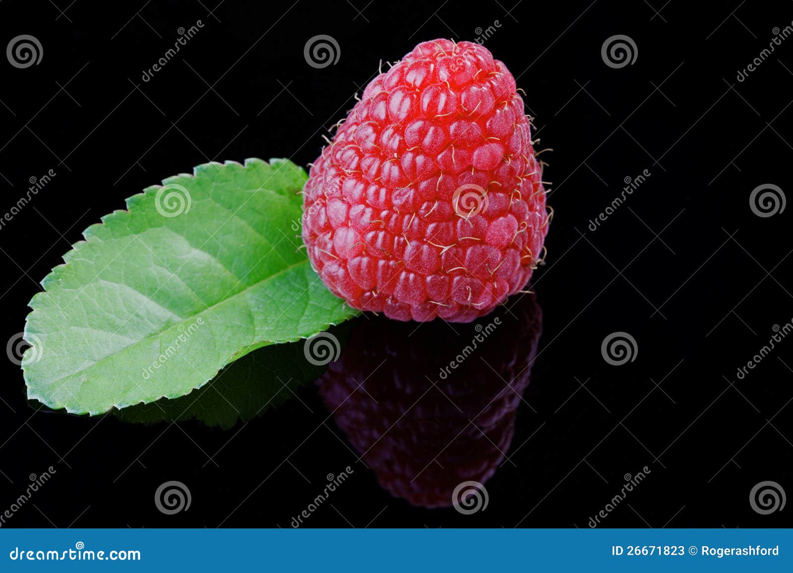 Raspberry Close-Up stock image. Image of focus, heap - 26671823