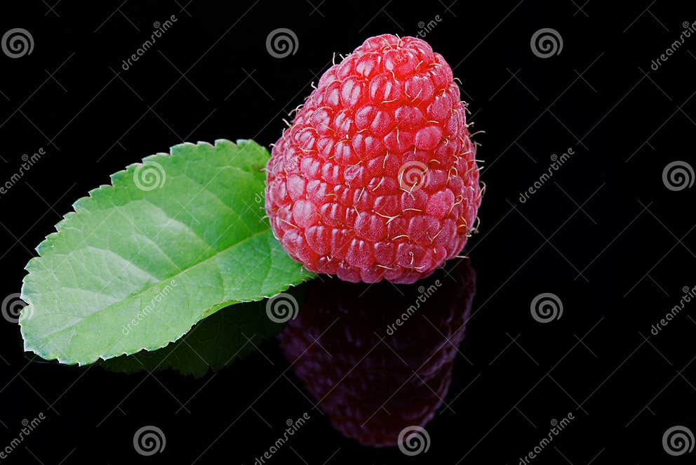 Raspberry Close-Up stock image. Image of focus, heap - 26671823