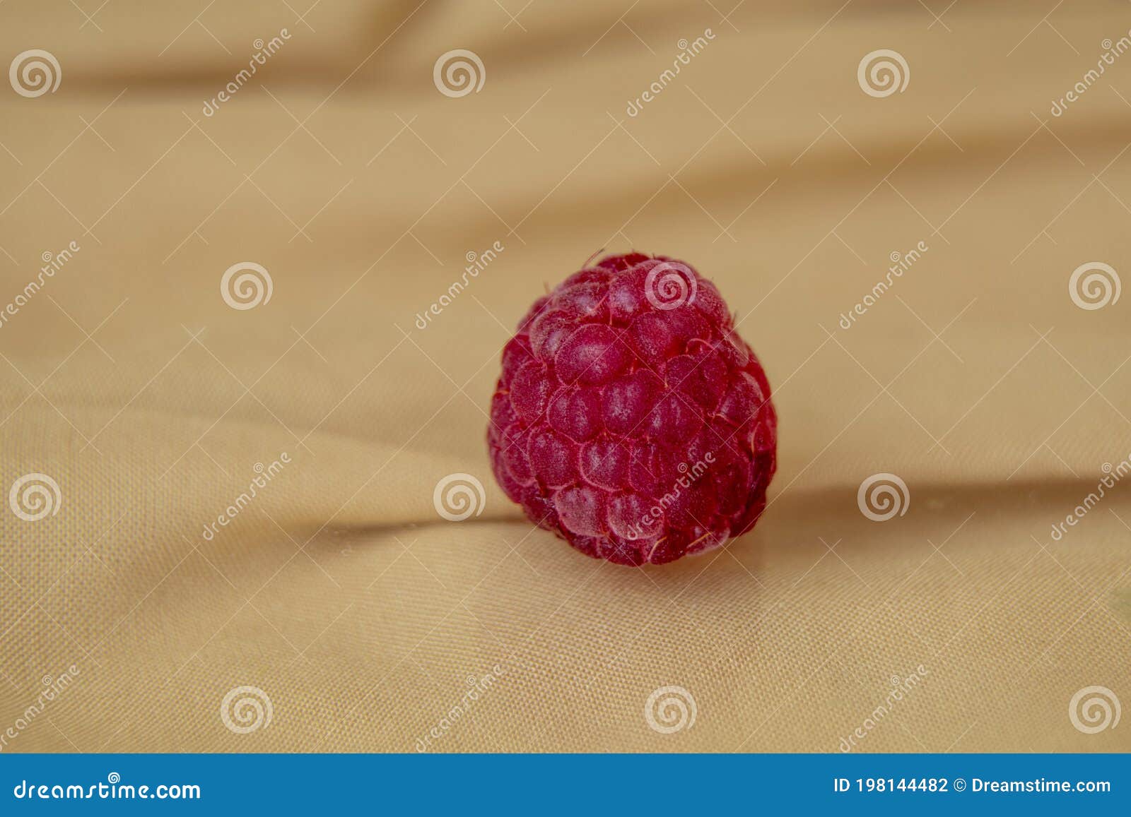 Raspberry close-up stock photo. Image of flora, macro - 198144482