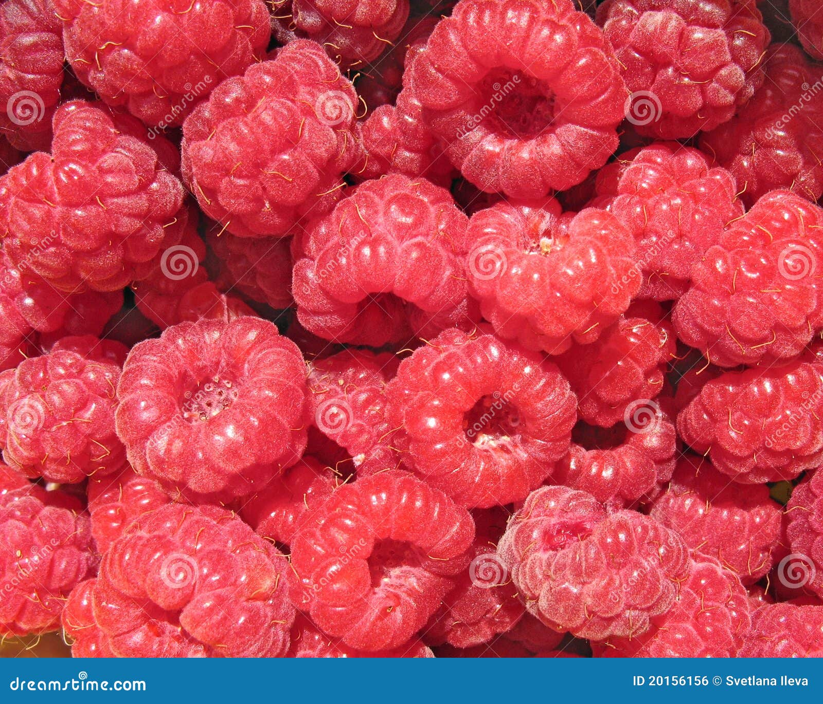 Raspberry Close Up - Berry Background Stock Photo - Image of appetizing ...