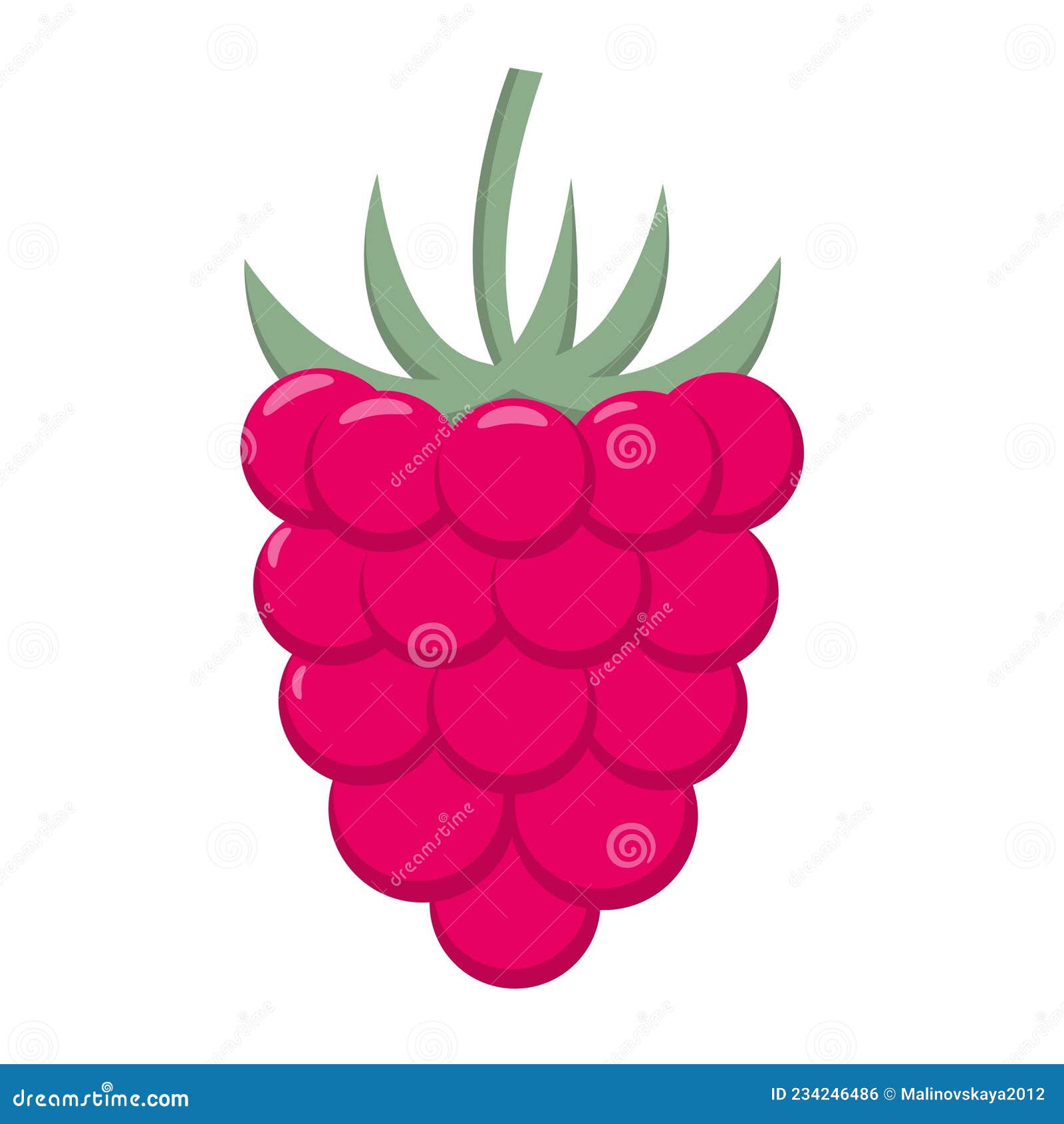 Raspberry Close Up Isolated Object. Stock Vector - Illustration of ...
