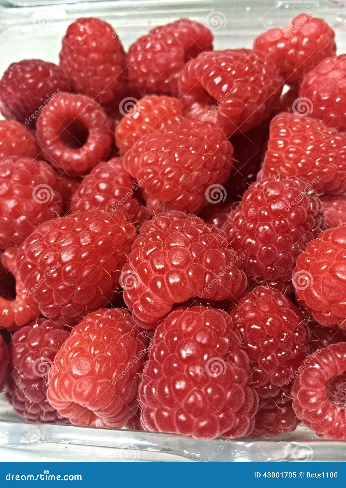 Rasperrys Stock Photos - Free & Royalty-Free Stock Photos from Dreamstime