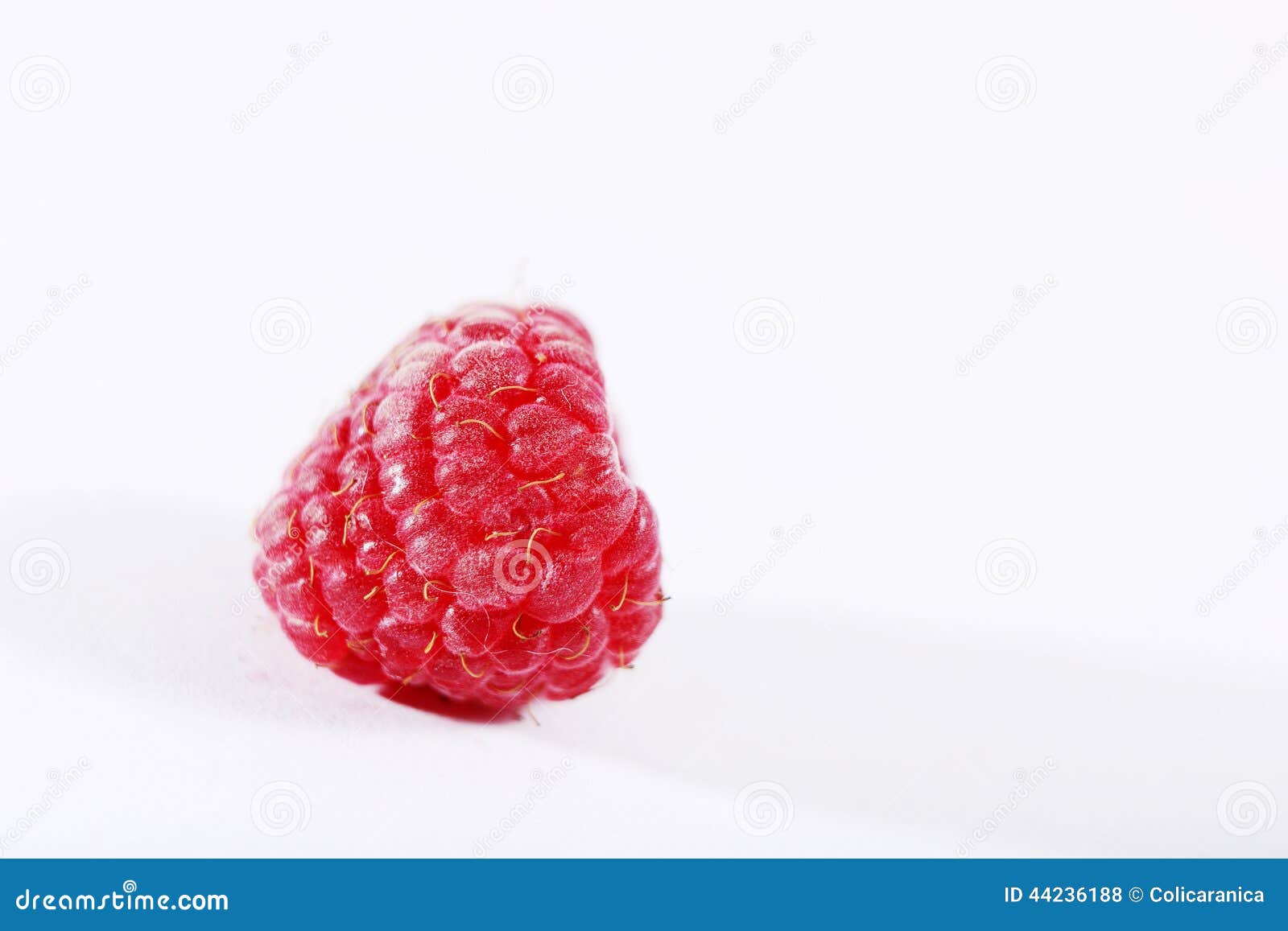 Raspberry close-up stock photo. Image of fruits, raspberry - 44236188