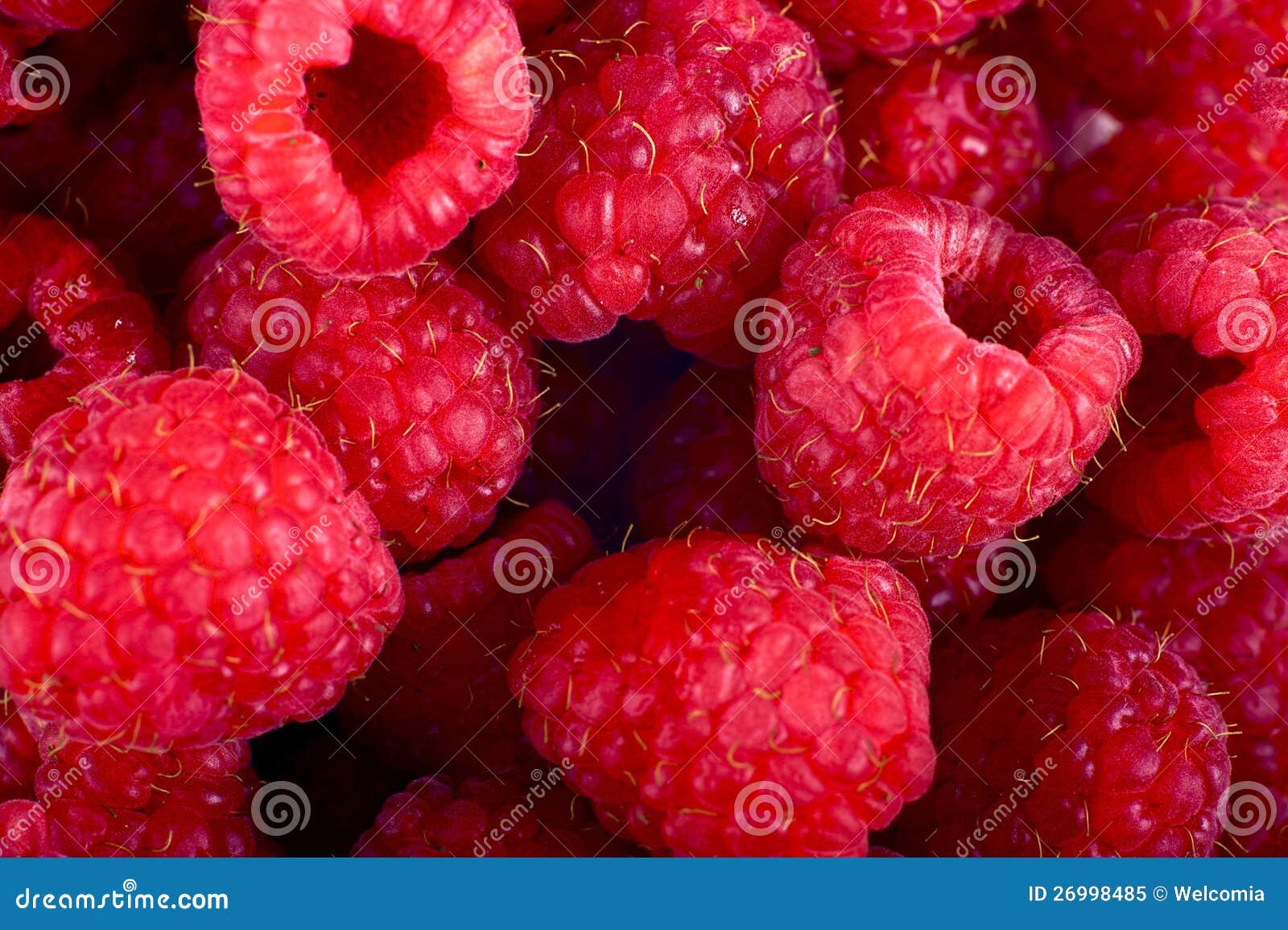 Raspberry Closeup stock image. Image of fruit, raspberry - 26998485