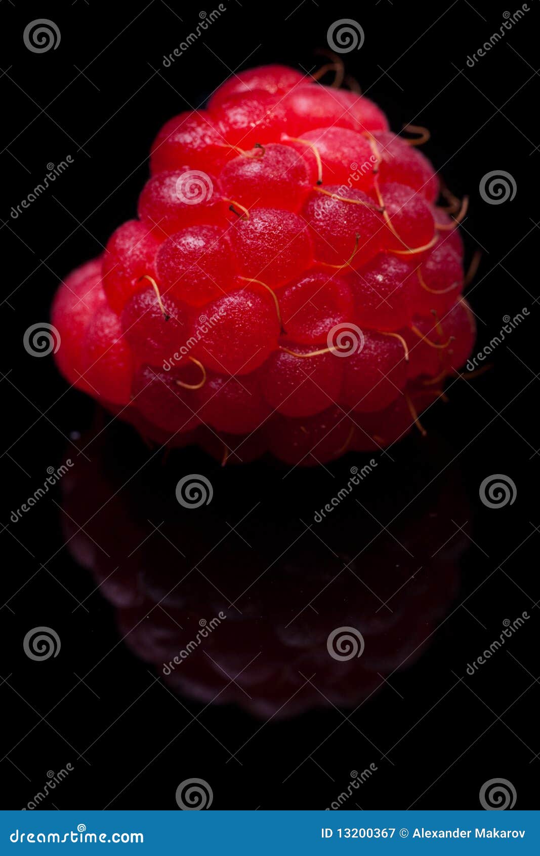 Raspberry Closeup. Isolated on Stock Image - Image of fresh, berries ...