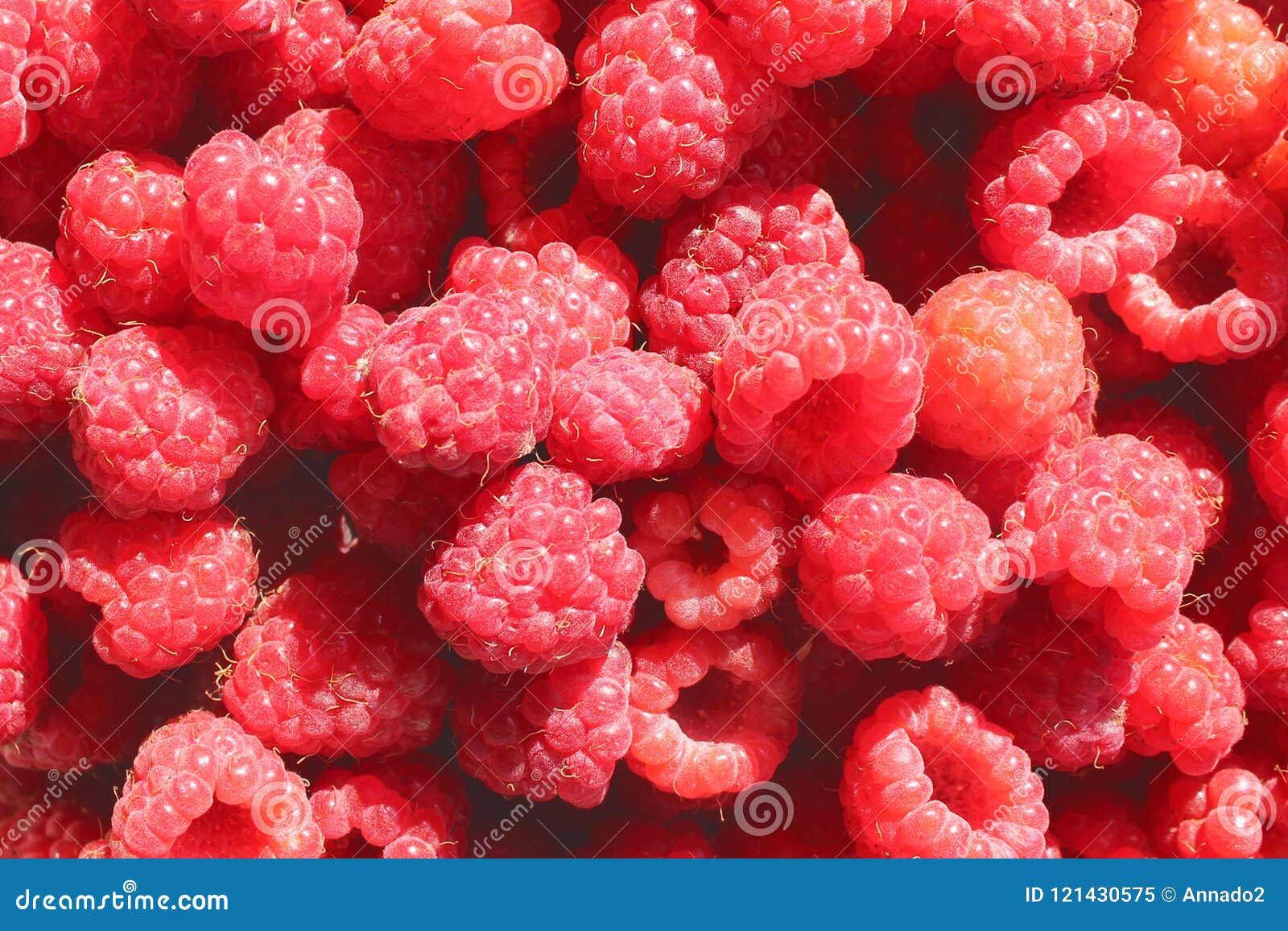 Raspberry Closeup Texture for Background Stock Image - Image of plant ...