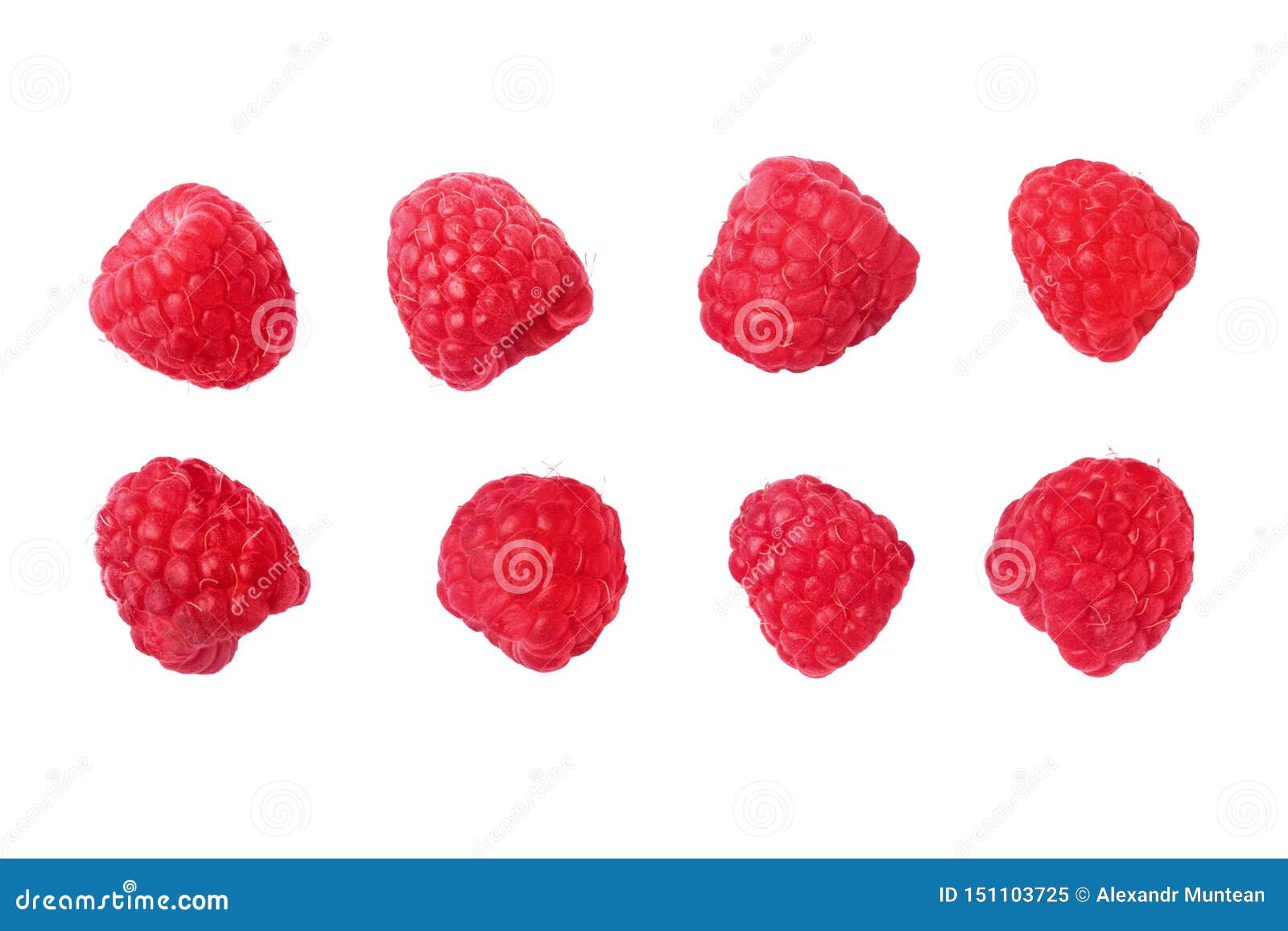 Raspberry Collection Isolated Stock Image - Image of sweet, ripe: 151103725