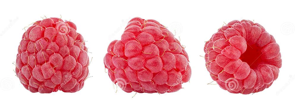 Raspberry Collection Isolated on White Background Stock Image - Image ...
